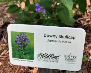 Visit the Bird Garden to Explore Native Plants - U City In Bloom